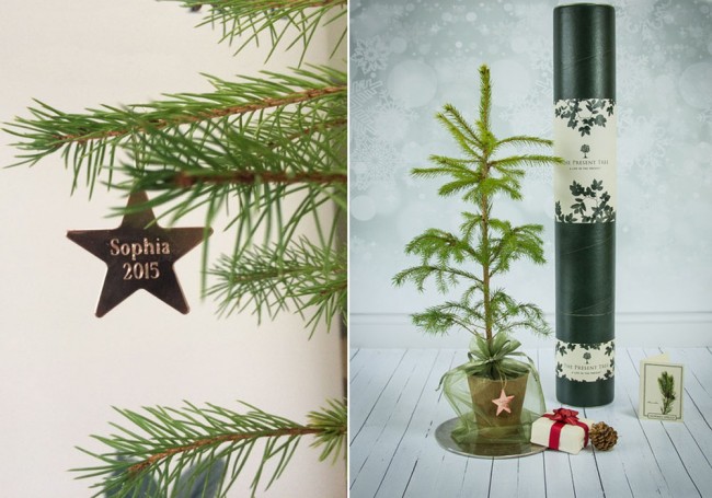 The Present Tree | The Womens Room