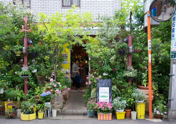 Urban gardening, Tokyo style | The Womens Room