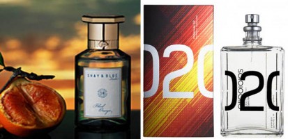 The best perfumes for teenage boys | The Womens Room