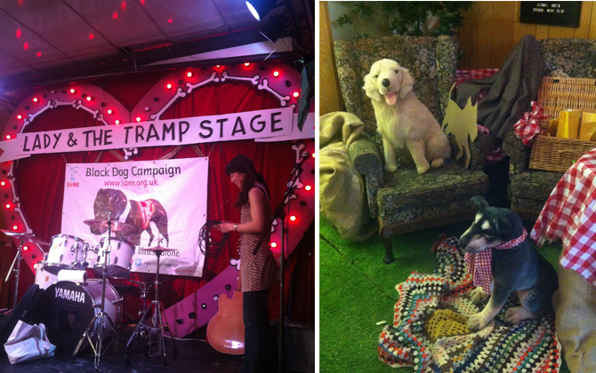 The Canine Games: the UK's hippest dog show | The Womens Room